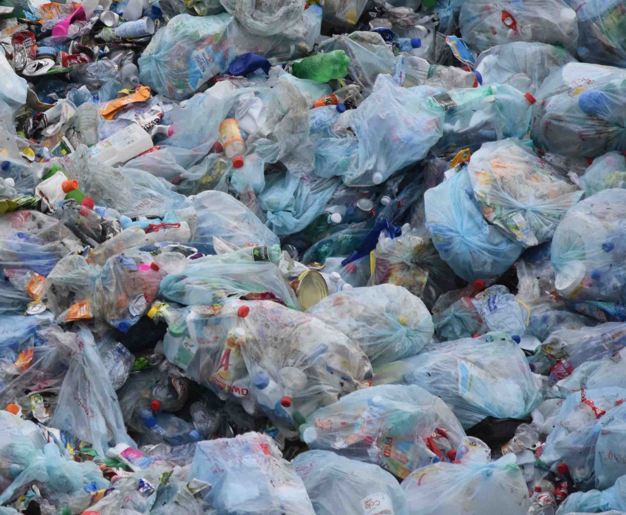 One Woman’s Journey Towards Living Plastic-Free - insidewink