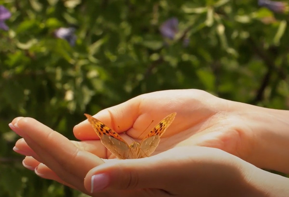 To Find the Best in You, You have to Look in the Right Direction ...